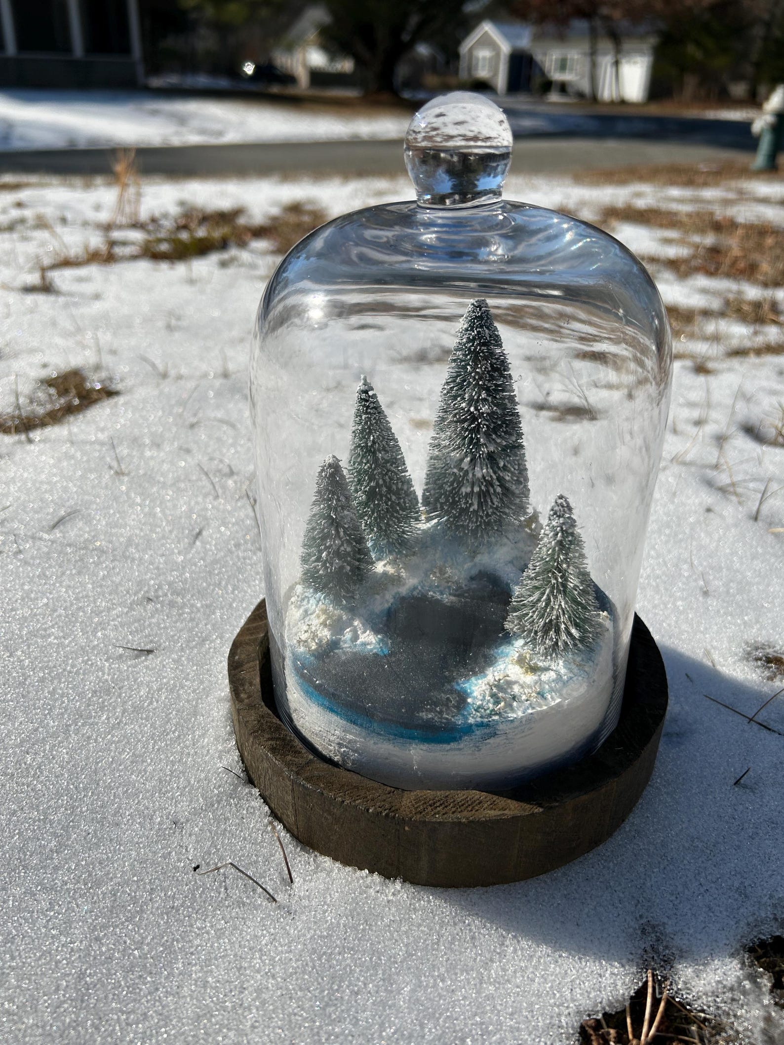 Winter Woods and River Landscape Diorama in Glass Cloche With Wooden ...