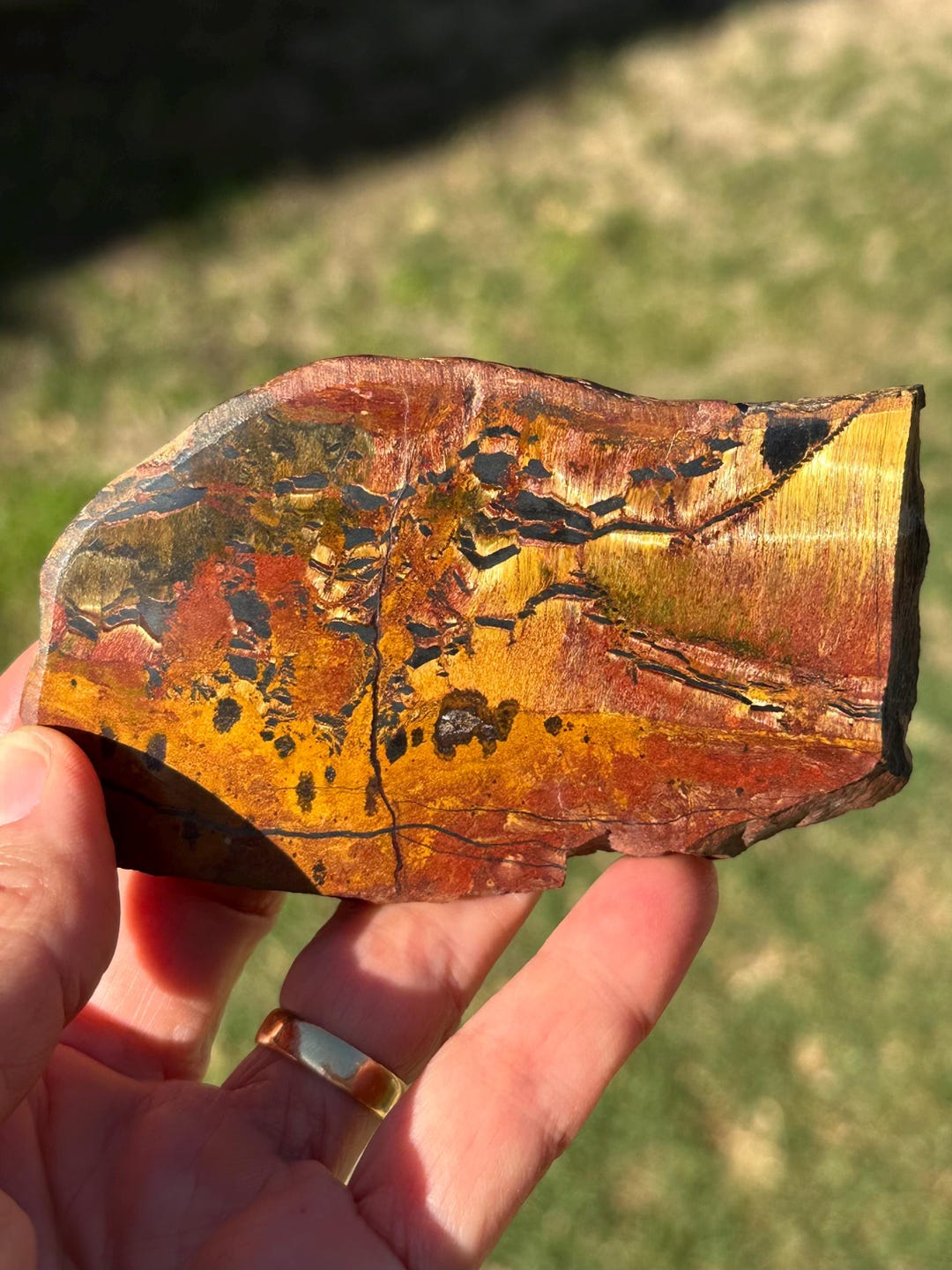 Marra Mamba Tiger Eye Polished Slice. Stunning Colours. Pilbara Region ...