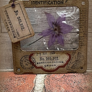 Vintage Style Specimen Cards for Junk Journals Scrapbooking and More ...