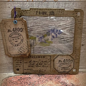 Vintage Style Specimen Cards for Junk Journals Scrapbooking and More ...