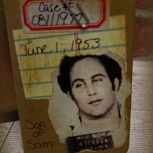 Vintage Style Criminal Case Files Serial Killer Files for Junk Journal ...