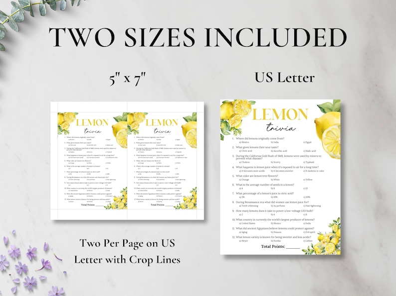 Lemon Trivia Game, Lemon Themed Baby Shower, Summer Lemonade Party ...