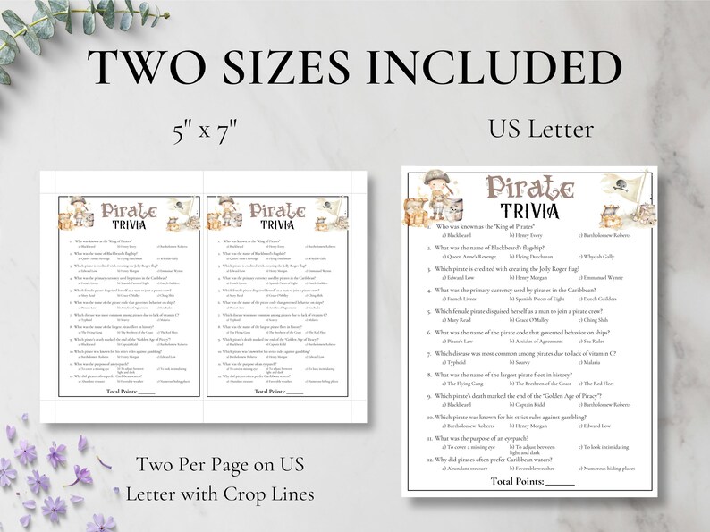 Pirate Trivia Game, Pirate Theme Party Game for Kids & Adults, Pirate ...