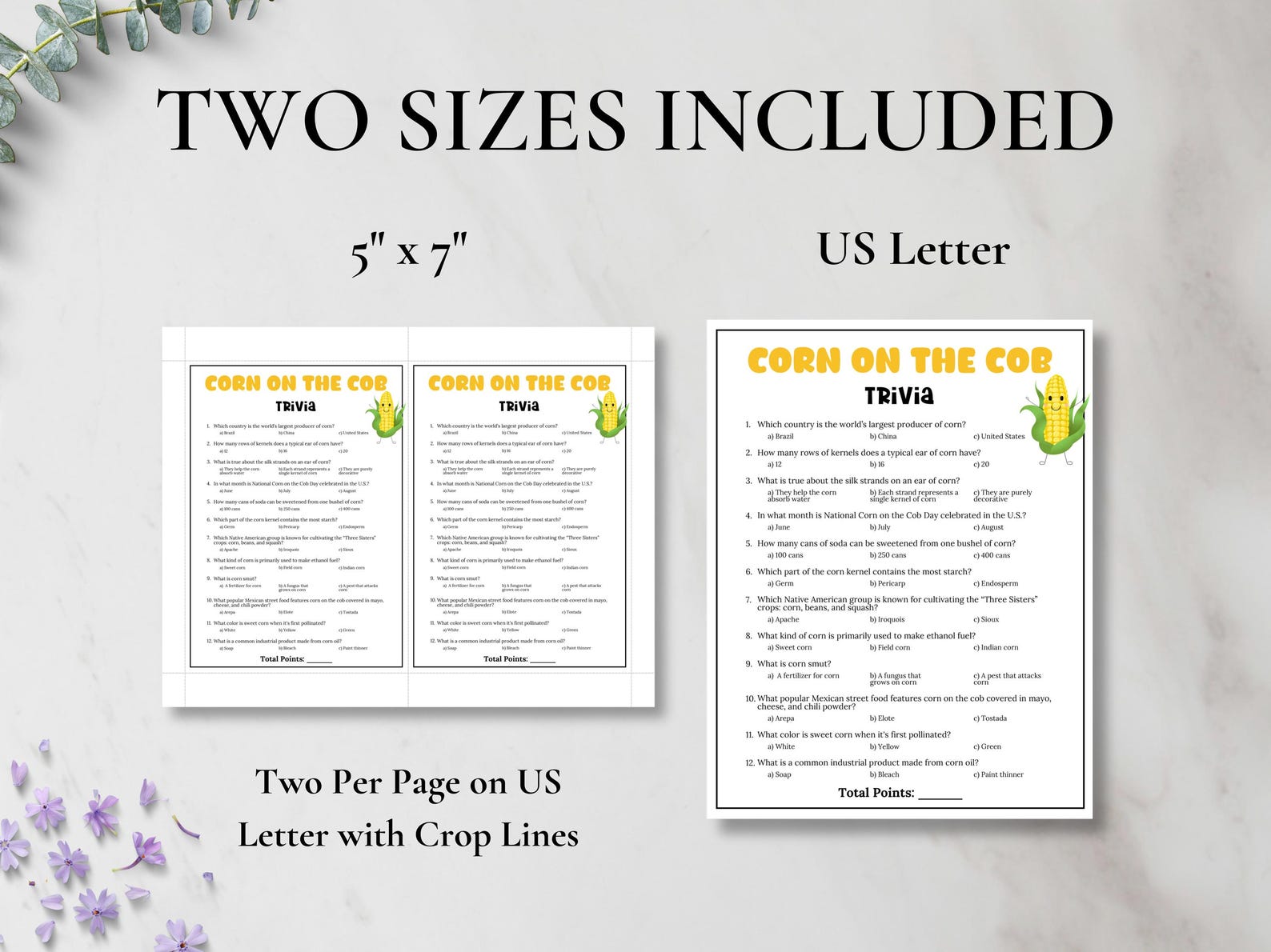 Corn on the Cob Trivia Game, Corn on the Cob Day Activity, Corn Party ...