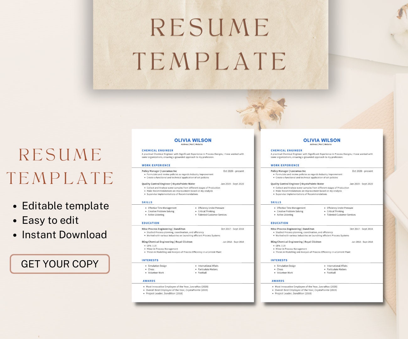 Blue Professional Resume Template, Minimalist CV Design, Job ...