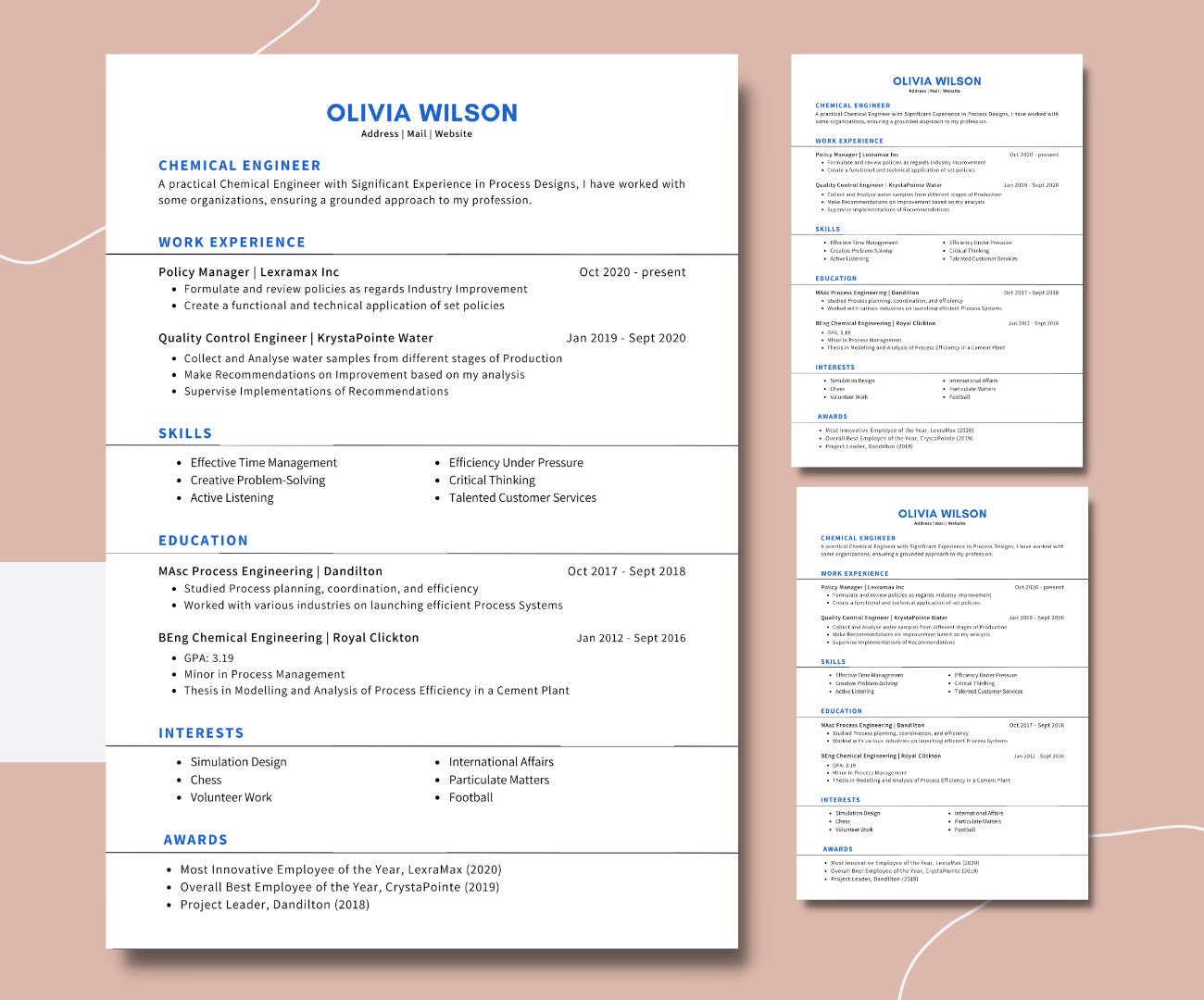 Blue Professional Resume Template, Minimalist CV Design, Job ...