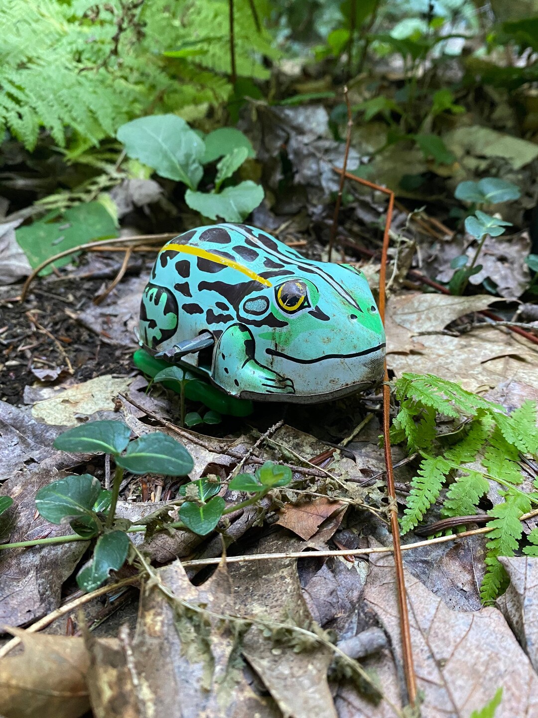 Vintage Yone Tin Lithograph Wind-up Jumping Toy Frog - Etsy