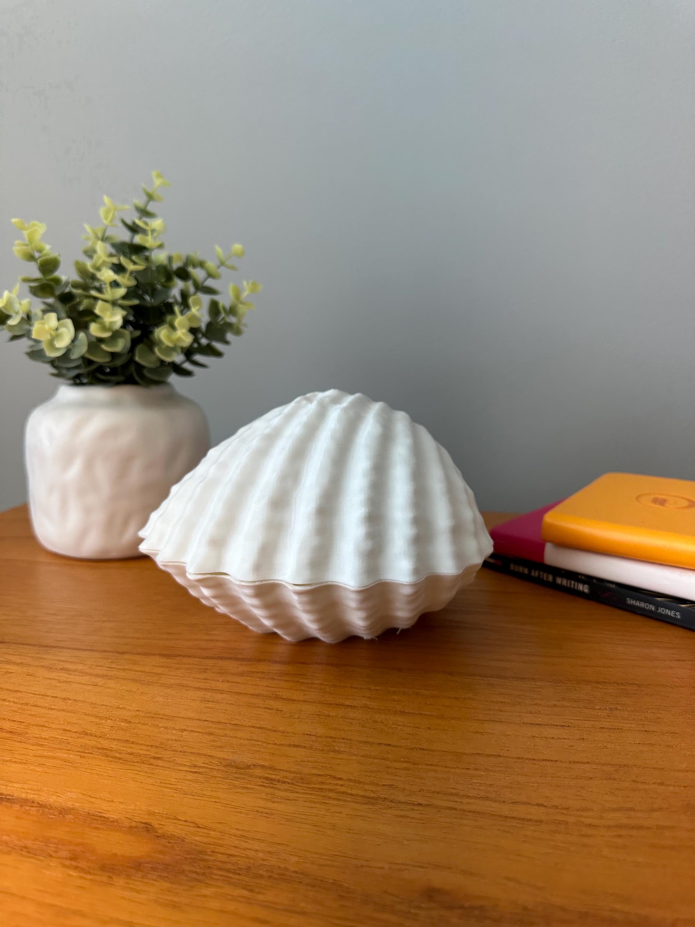 Glowing Sea Shell Lamp – Pearl Bulb Night Light With Open/close Shell ...