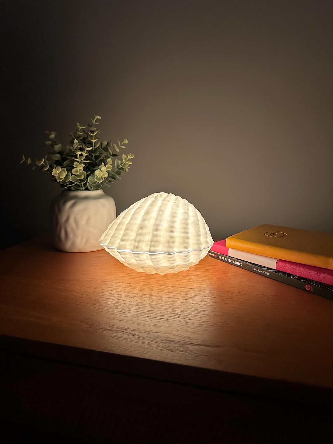 Glowing Sea Shell Lamp – Pearl Bulb Night Light With Open/close Shell ...