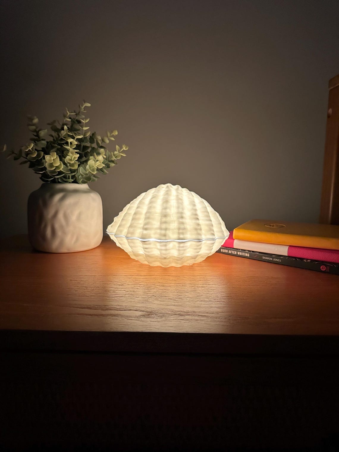 Glowing Sea Shell Lamp – Pearl Bulb Night Light With Open/close Shell ...