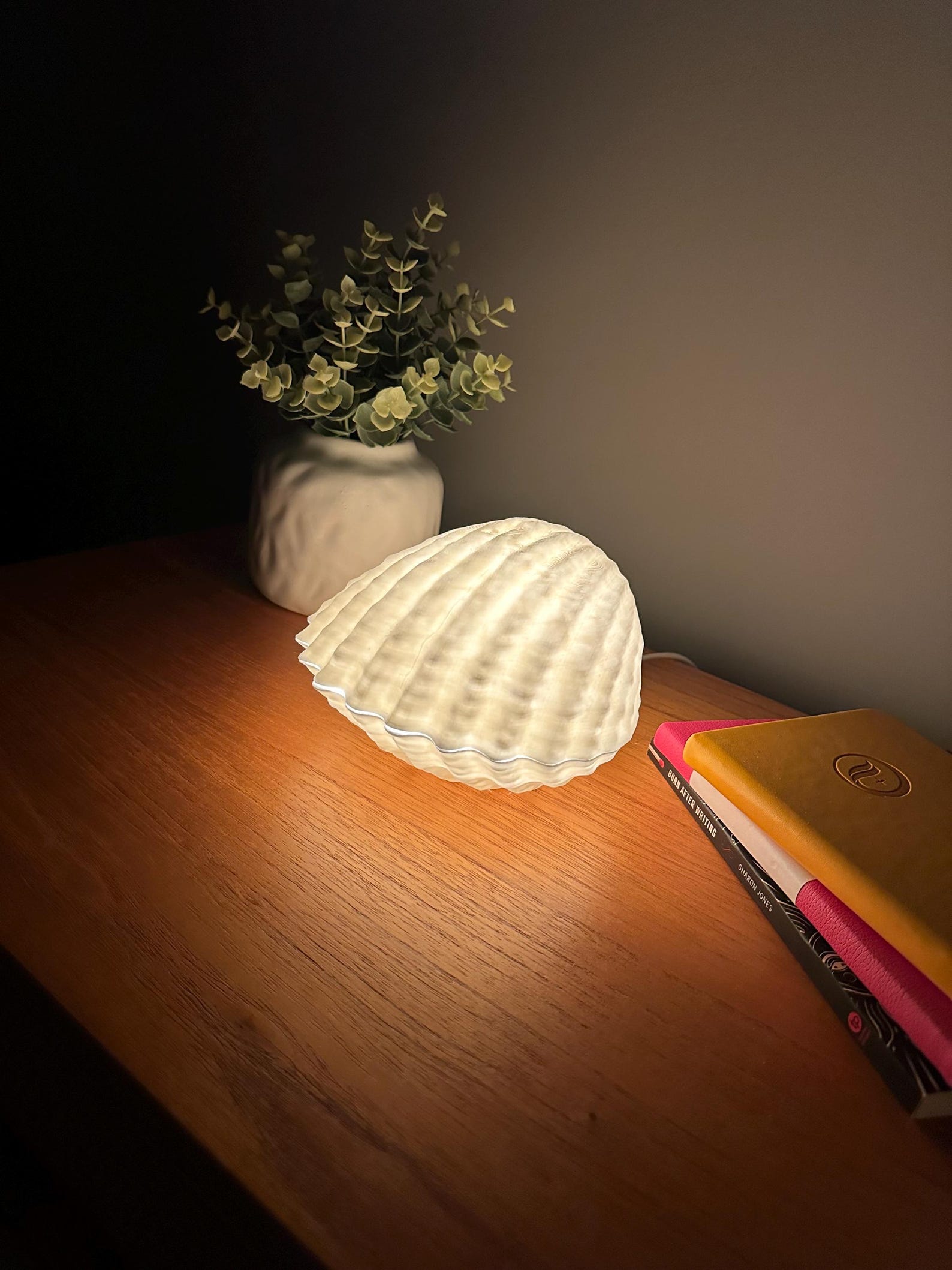 Glowing Sea Shell Lamp – Pearl Bulb Night Light With Open/close Shell ...