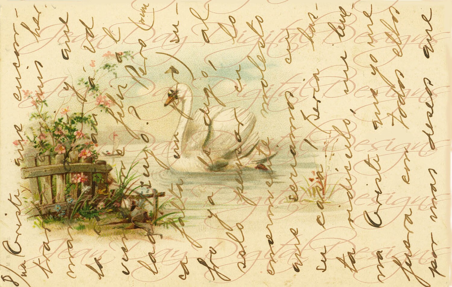 Spanish Script and Swan Bird Script European Postcard - Etsy