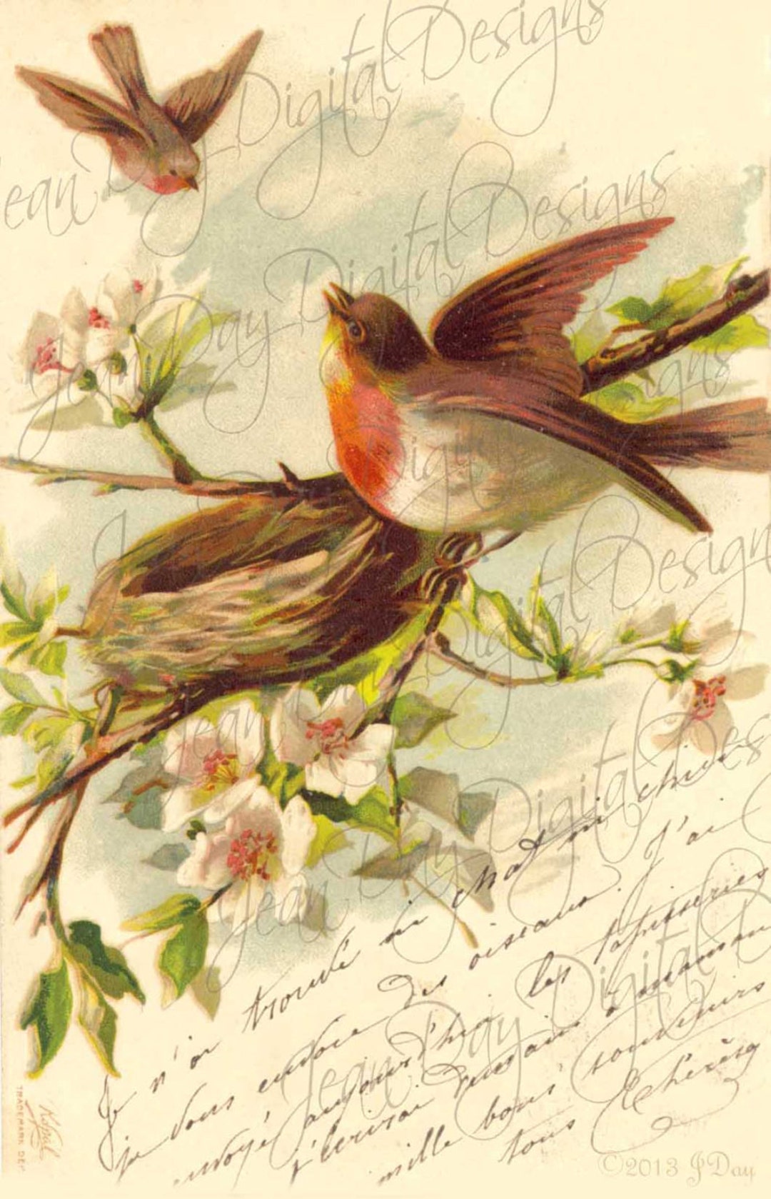 French Bird Robins Nest Apple Blossoms and Lovely French - Etsy