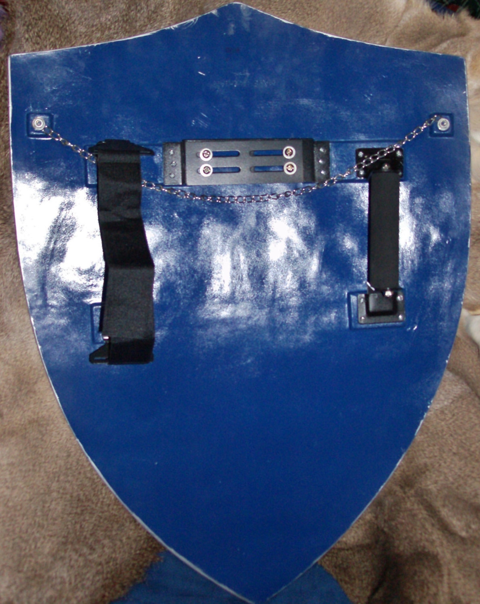 Custom Loz Hylian Shield - Etsy