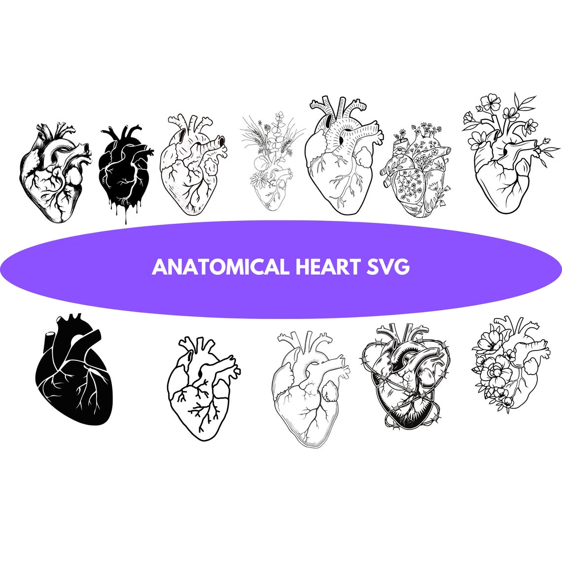 Anatomical Heart Svg Bundle, Anatomical Heart Svg, Human Heart Svg ...