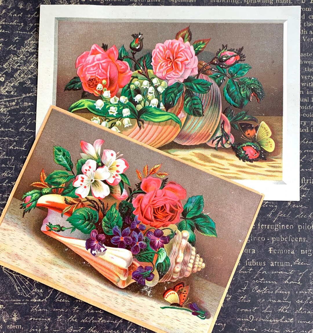 Victorian Cards Shells Seashell Roses Violets Lily of the Valley ...