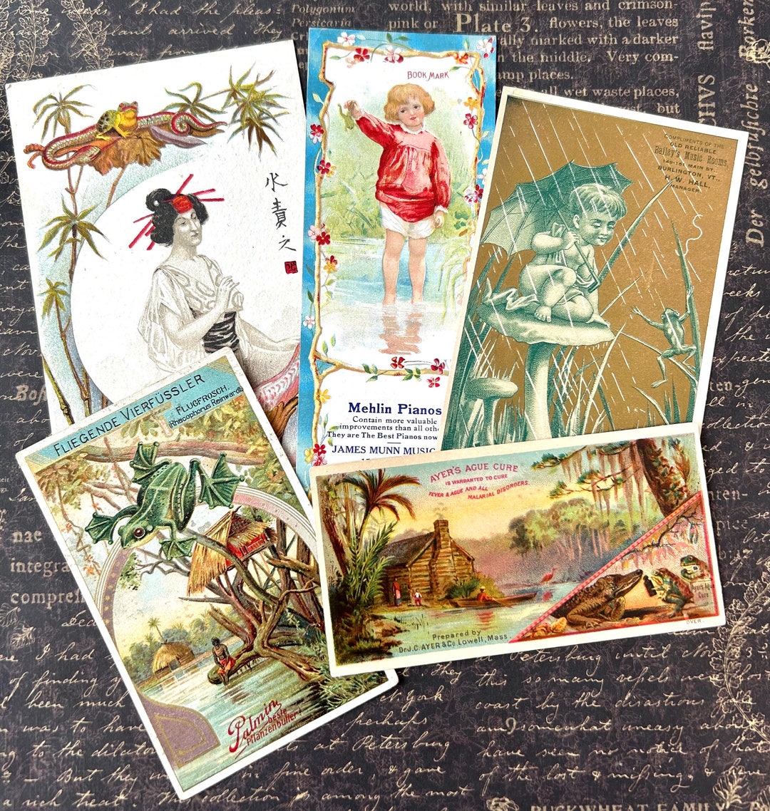 Victorian Frogs Trade Cards Ephemera Chocolate Pianos Quack Medicine ...