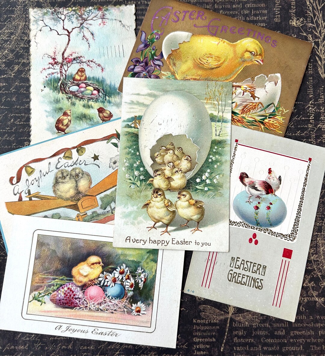 Antique Chicks Flowers Giant Eggs Easter Postcards 1910-1927 Lot - Etsy