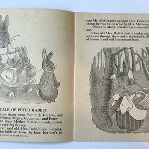 The Tale of Peter Rabbit Children's Book Anthropomorphic Bunny Rabbit ...