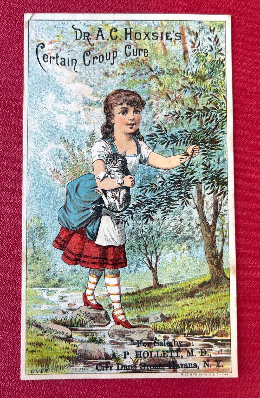 Victorian Trade Card Doctor Hoxsie's Croup Cure Remedy Girl With Cat ...