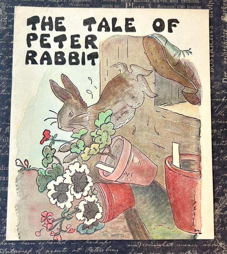 The Tale of Peter Rabbit Children's Book Anthropomorphic Bunny Rabbit ...
