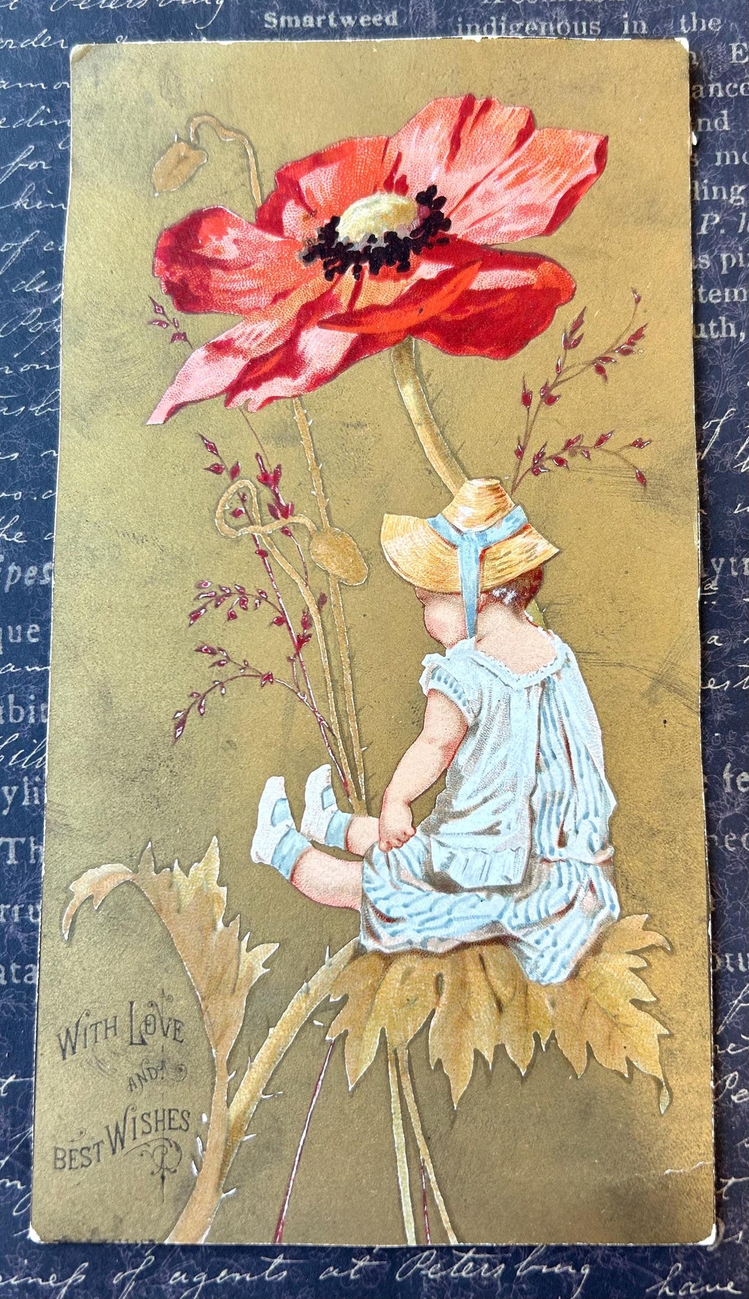Victorian Card Little Girl Sitting Under a Giant Poppy 1800's - Etsy