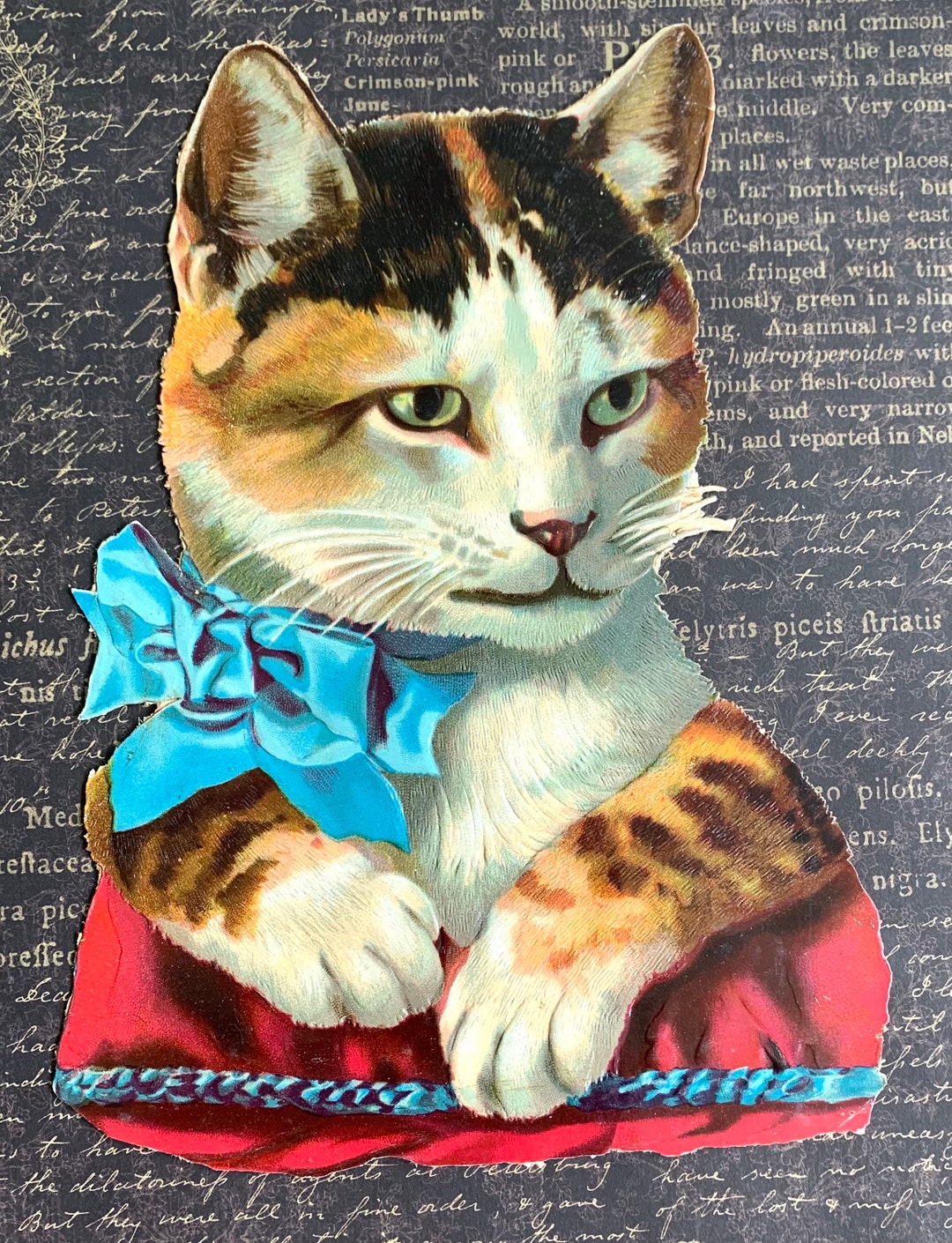 Victorian Embossed Die Cut Scrap Large Kitty Cat Junk Journal ...
