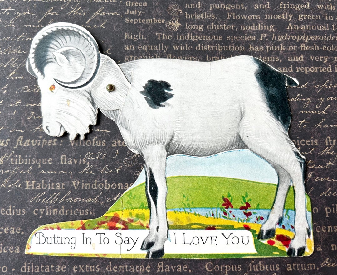 Mechanical Goat Valentine Card Die Cut by Carrington 1930's - Etsy