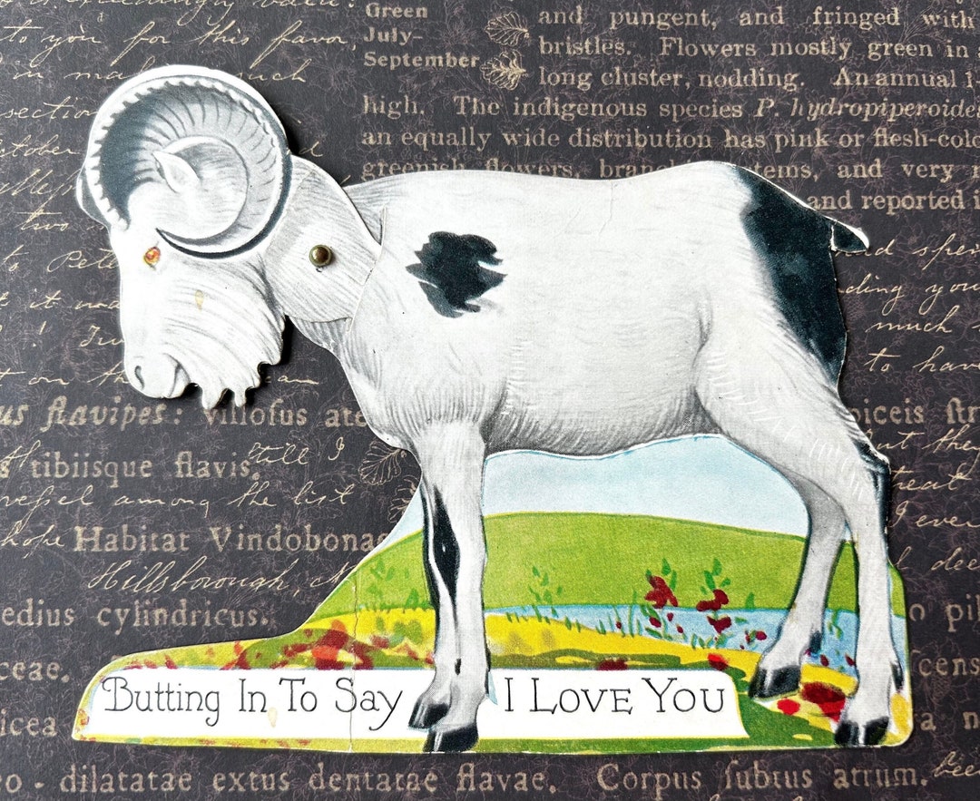 Mechanical Goat Valentine Card Die Cut by Carrington 1930's - Etsy