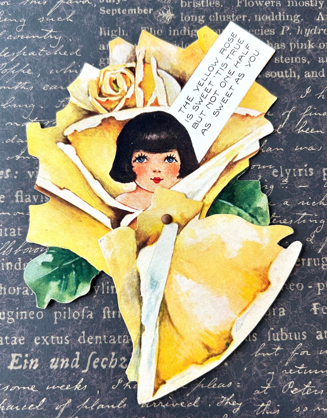 Mechanical Valentine Die Cut Rose Yellow Flower Face Girl ...