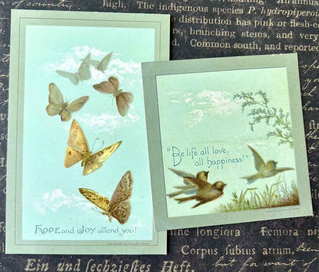 Victorian Cards With Birds Butterflies by Louis Prang 1883 - Etsy
