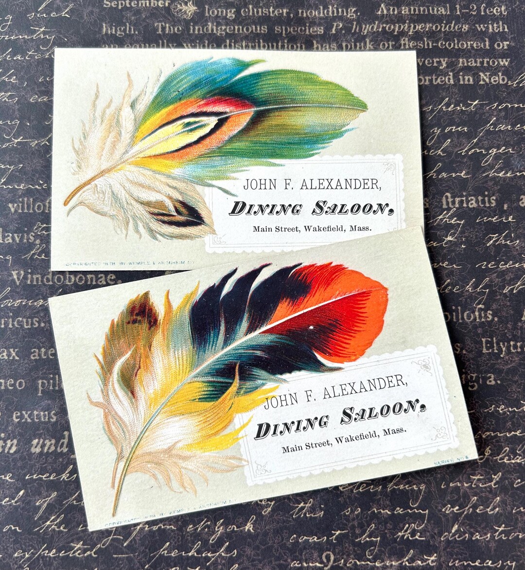 Victorian Trade Cards Feathers John Alexander Dining Saloon Wakefield ...