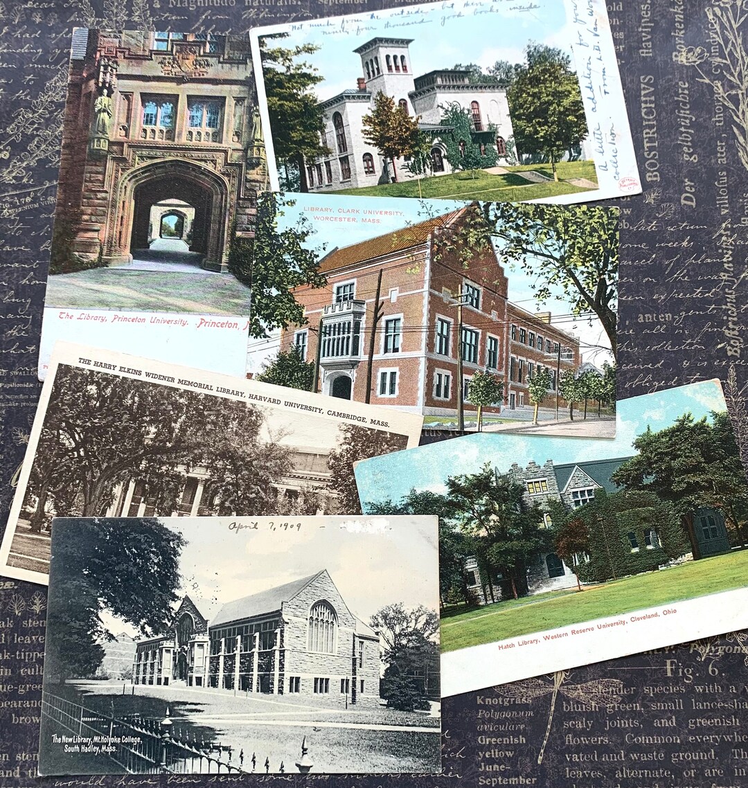 Antique Postcards College University Libraries Academia 1905-1941 Lot ...