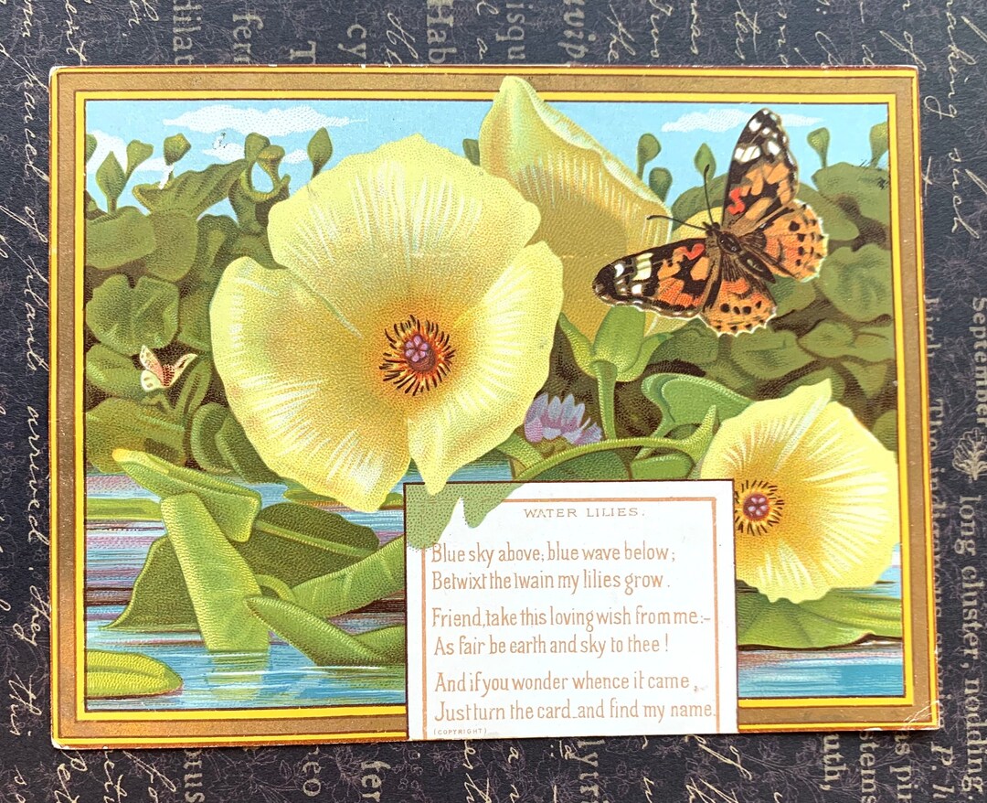 Victorian Christmas Card by Marcus Ward Water Lilies Butterflies Poem ...