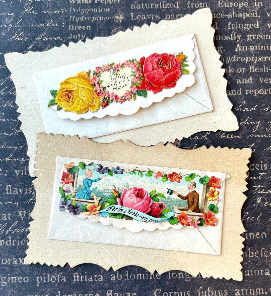 Victorian Calling Cards Envelopes With Couple Roses Violets Embossed ...
