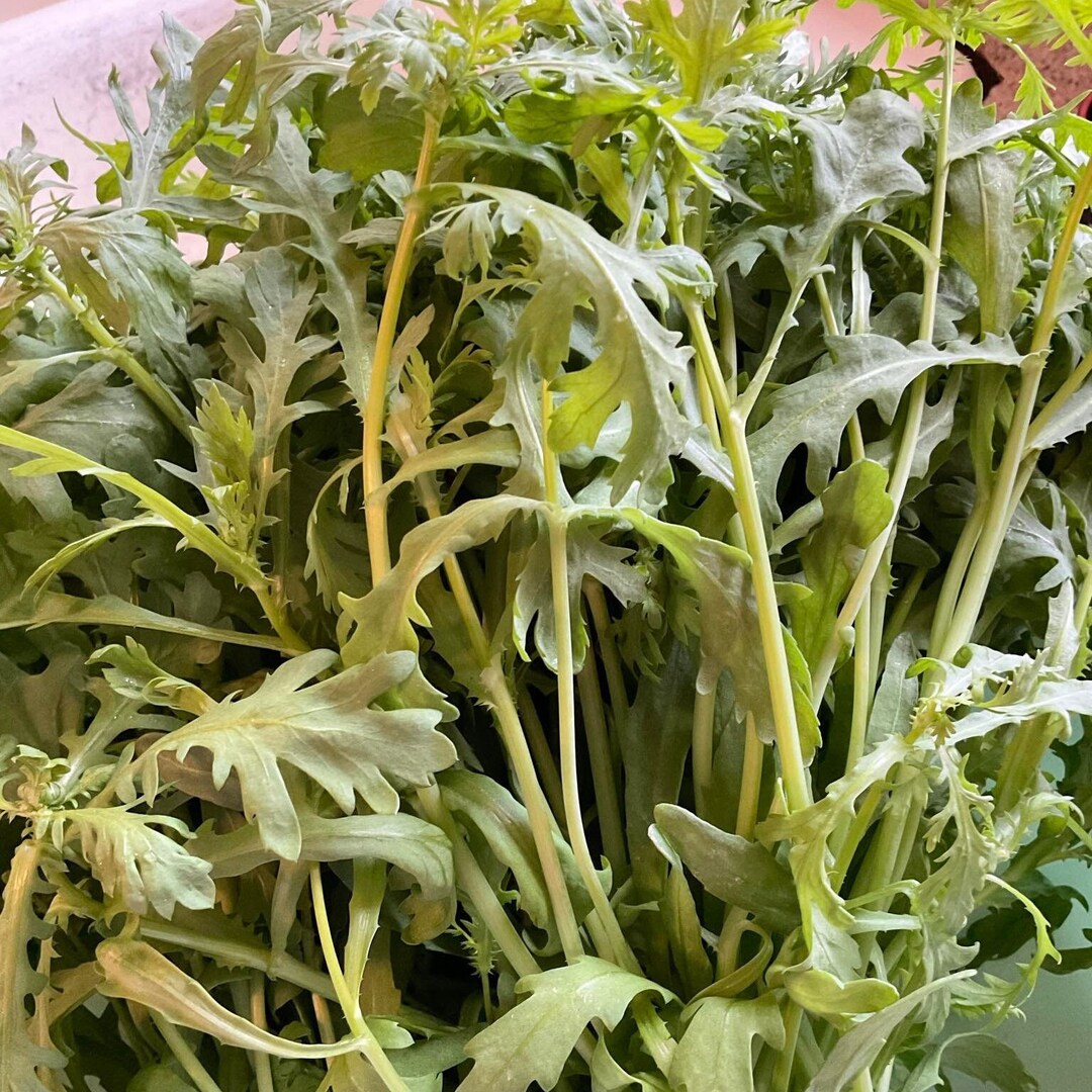 Crown Daisy, Tong Ho, Vietnamese Hạt Tần Ô, Cải Cúc - Etsy