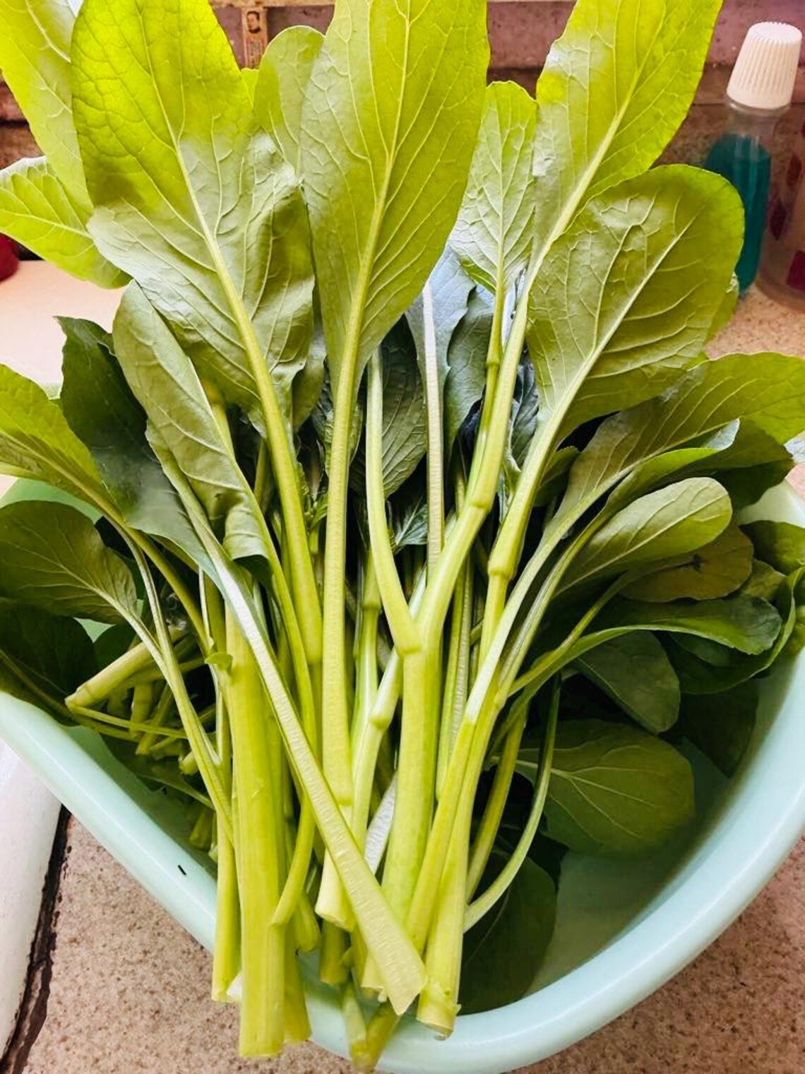 Samurai Japanese Choy Sum Seeds. - Etsy