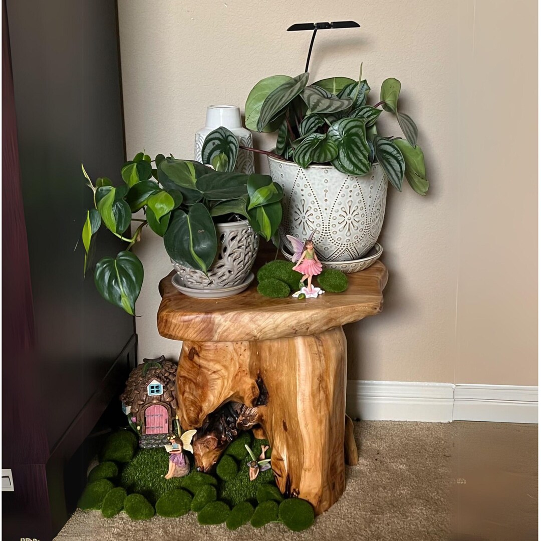 Natural Live Edge Tree Stump Stool Reclaimed Cedar Side Table Unique ...