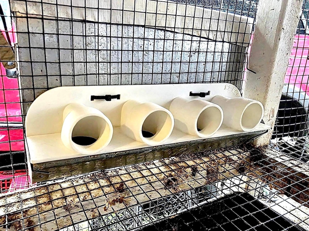 Bass J Feeder No-waste Cover - 1.5” Ports for Quail & Chicks - Multiple ...