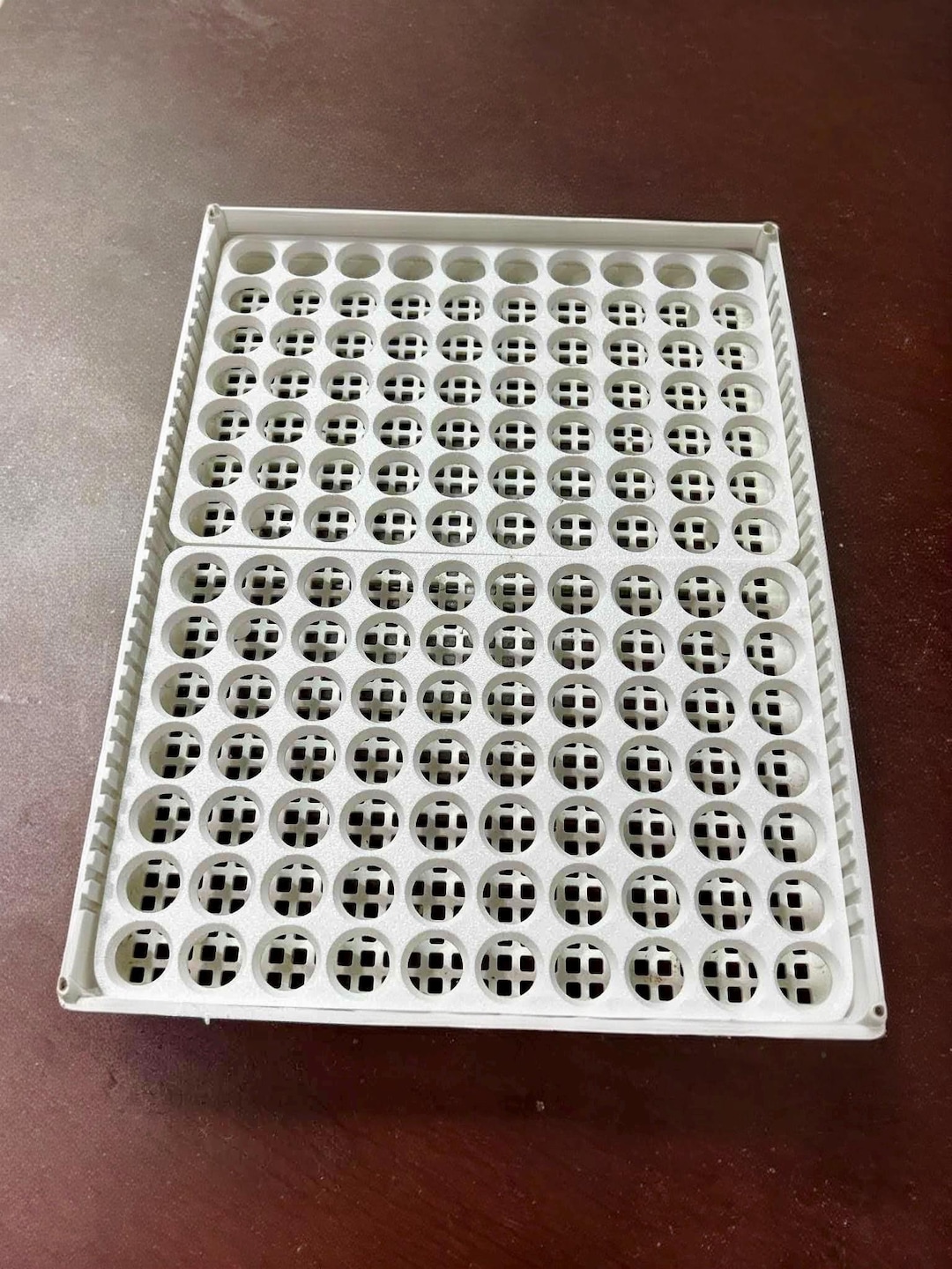 Hatching Time Incubator Egg Setter Insert Trays -SET of TWO- Button ...