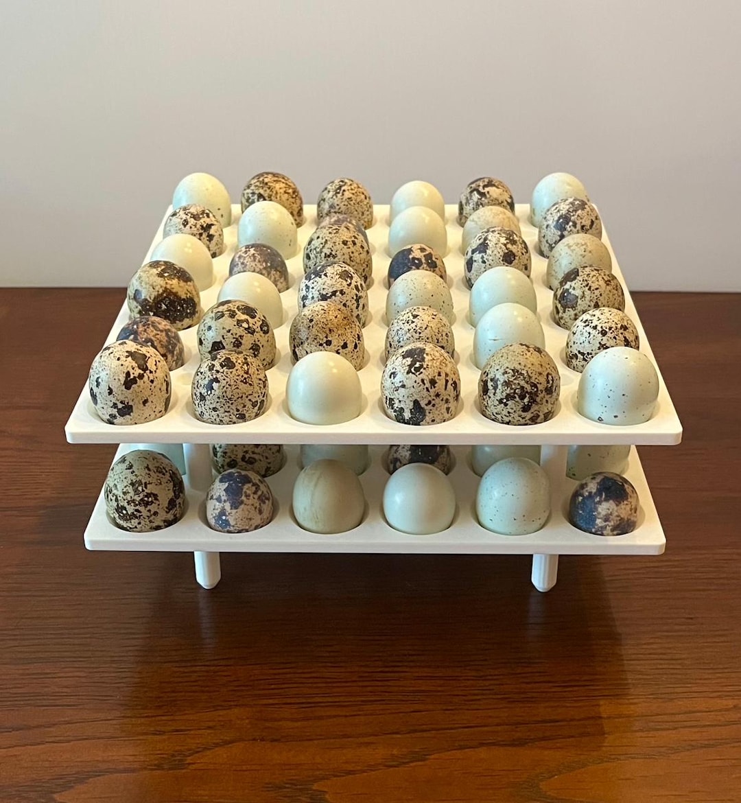 Stackable Standard/jumbo Quail Egg Holder Storage Tray (36 Count) - Etsy