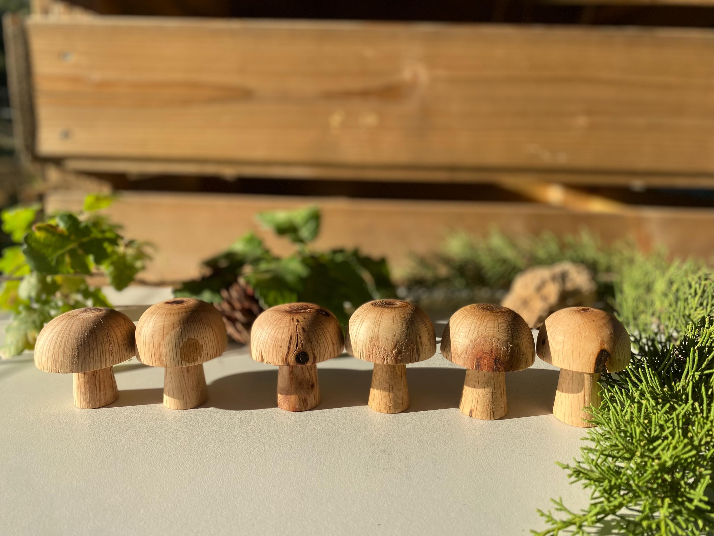 Champignon en bois - Décoration en bois tourné - Objet décoratif d ...