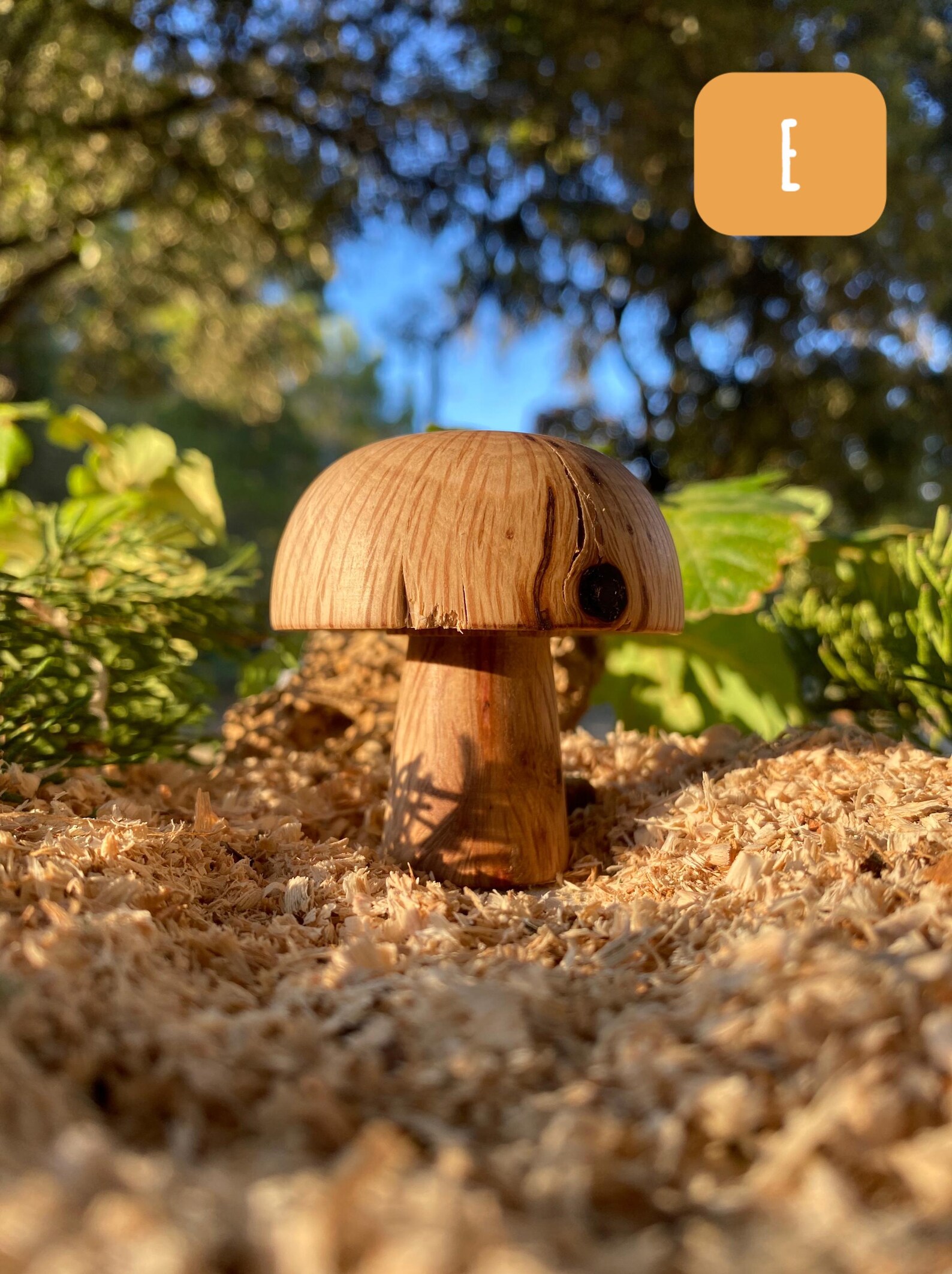 Decoration Champignon En Bois