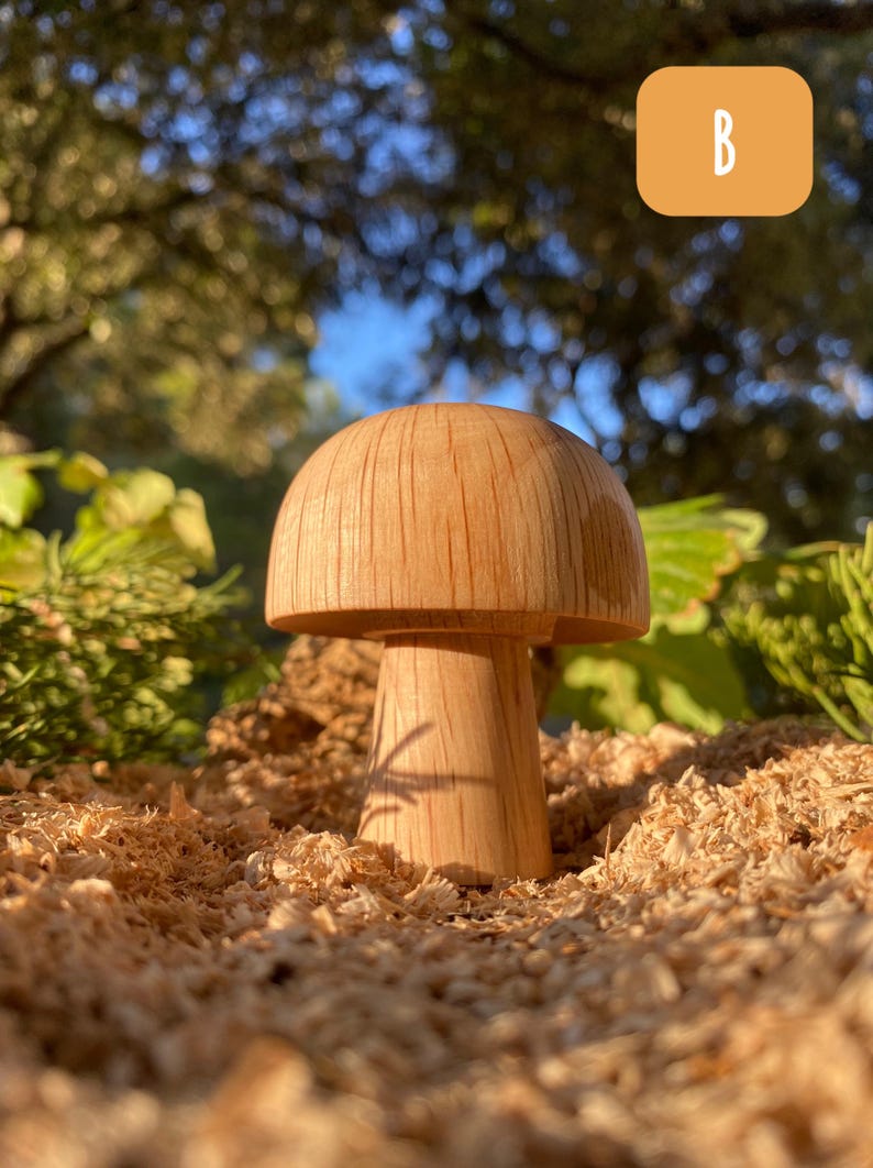 Decoration Champignon En Bois