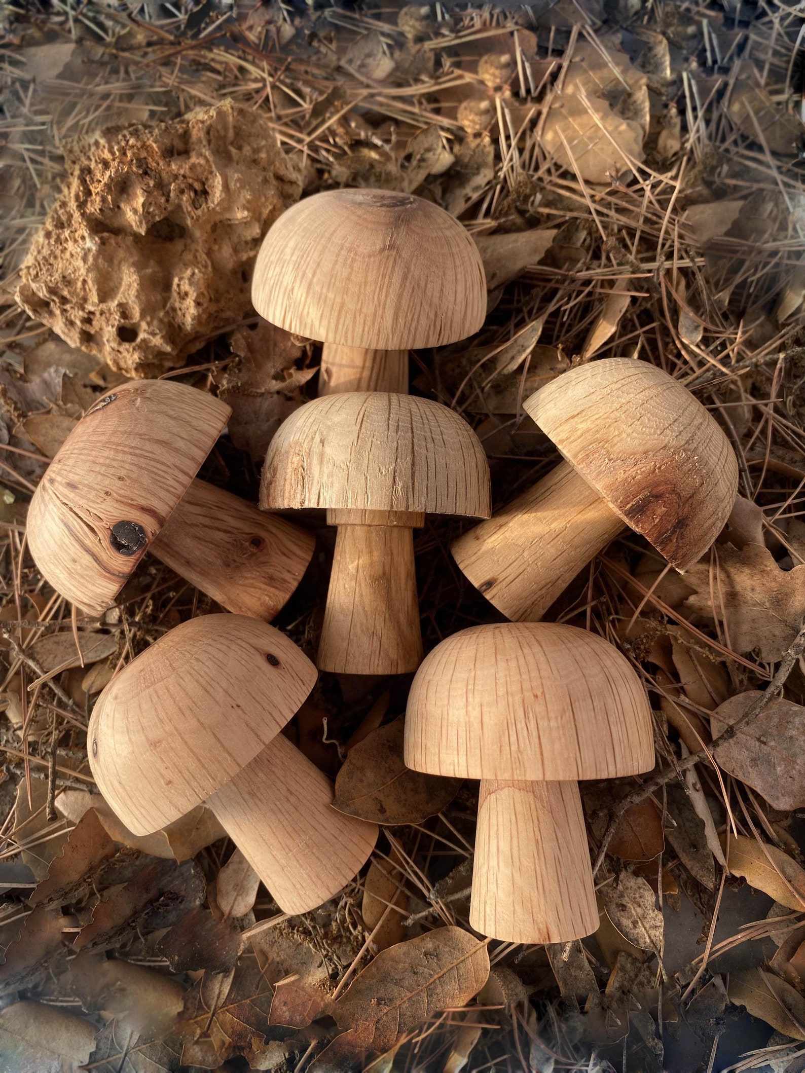 Champignon en bois - Décoration en bois tourné - Objet décoratif d ...