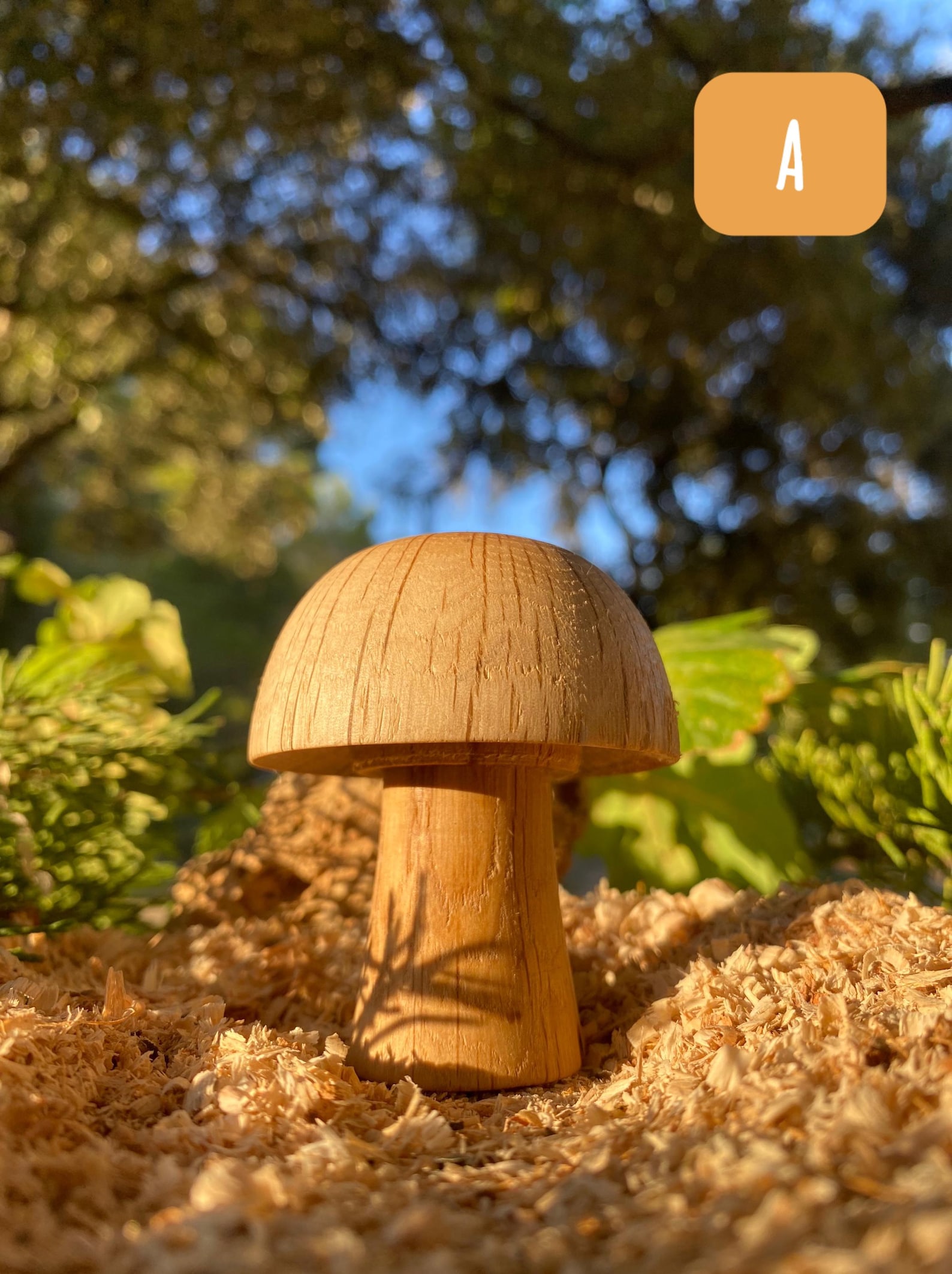 Decoration Champignon En Bois