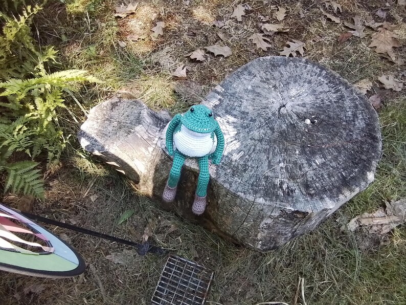 Fancy Frog in Boots Crochet Amigurumi Pattern and Tutorial With 30+ Pictures - Etsy