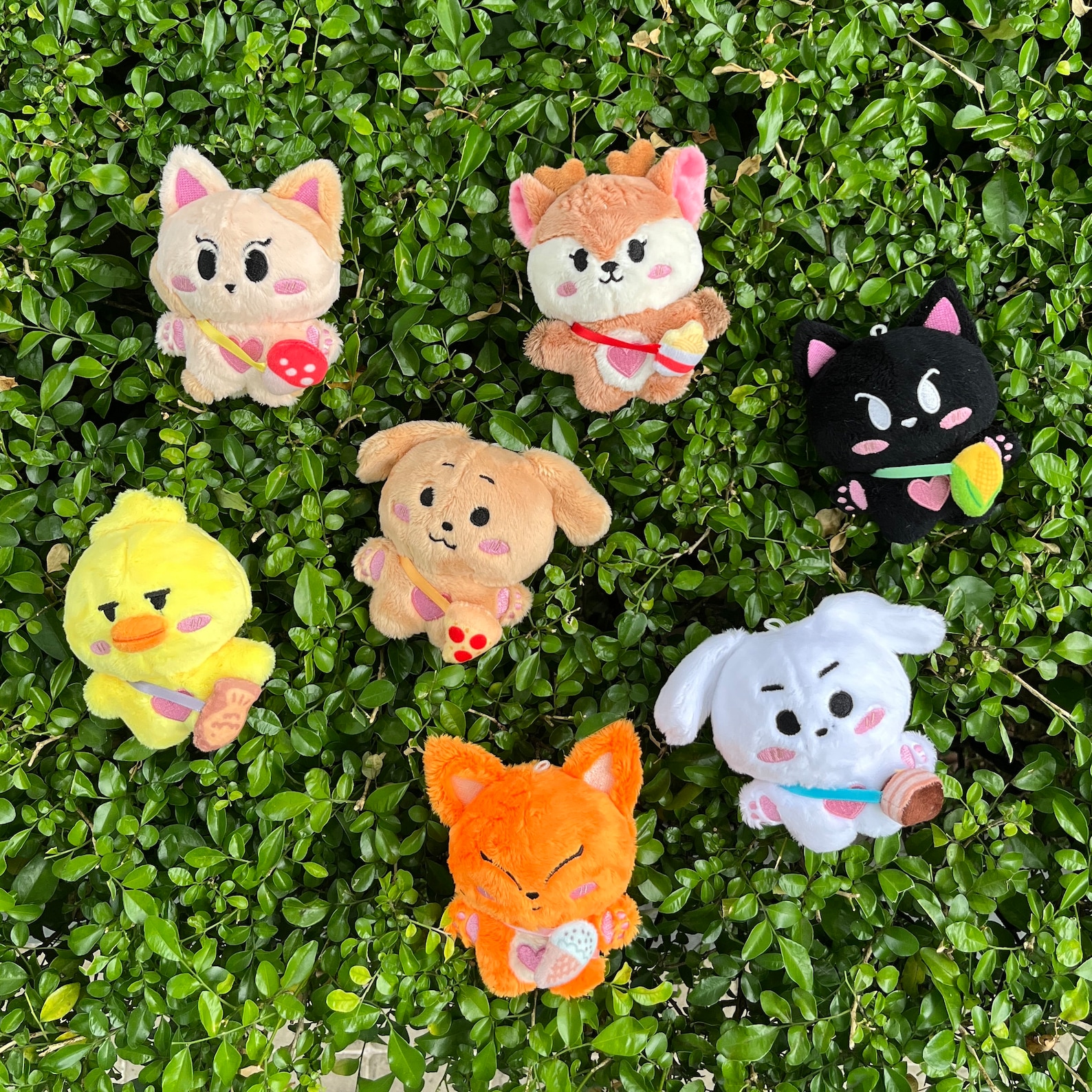 ENHYPEN 10 Cm En-moji Dolls (ON HAND) | Kpop | Soft Fluffy Animal ...