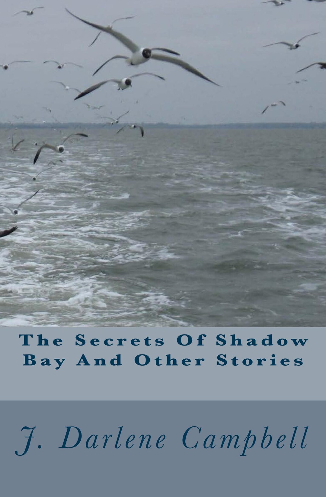 The Secrets of Shadow Bay and Other Stories Short Story Collection ...
