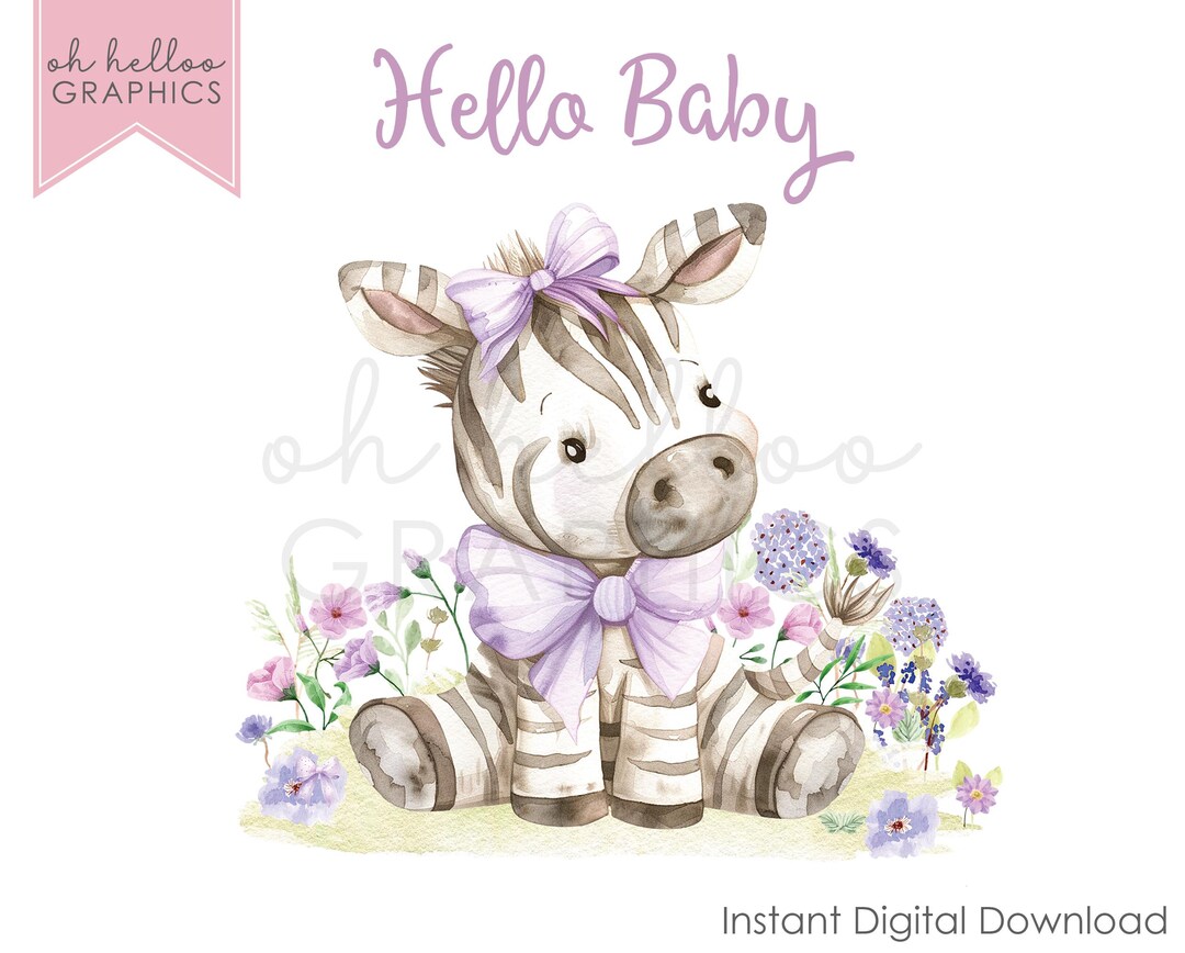 Hello Baby Zebra PNG Clipart, Sublimation Lilac New Arrival Zebra ...